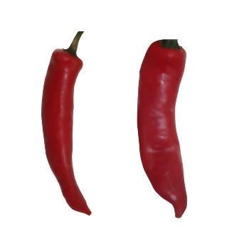 Chilli Variety Classification Object Detection Dataset by Test 1