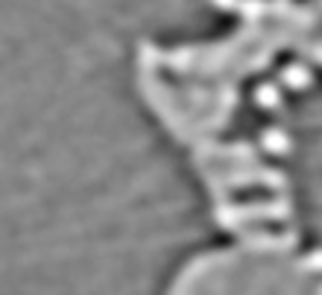 void carbon Instance Segmentation Dataset by fibersvoids