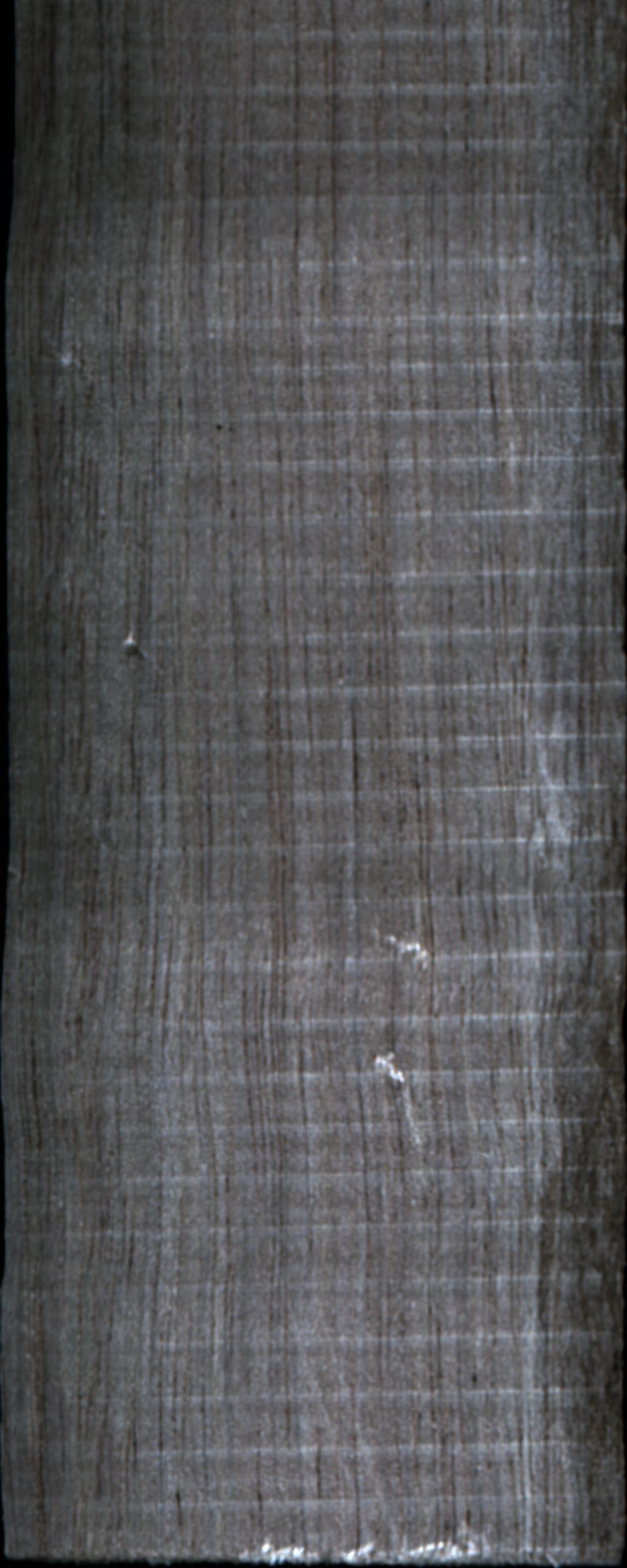 29_08_2022_seg_mixed_merge Instance Segmentation Dataset by Woodsample