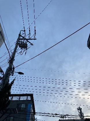 Power Line Segmentation Semantic Segmentation Model by UtiltyX