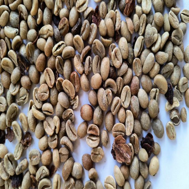 V2 Object Detection Dataset by FullBlackV2