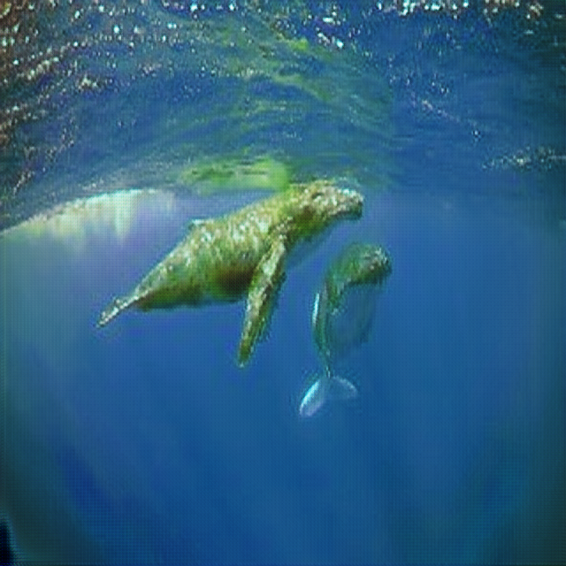 underwater_2 Object Detection Model by test