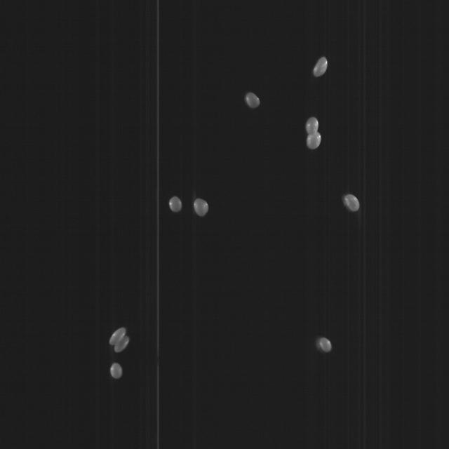 particle detectionparti Object Detection Dataset by particleannotation