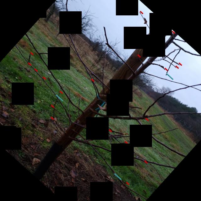 Test Object Detection Model by Dyno Robotics