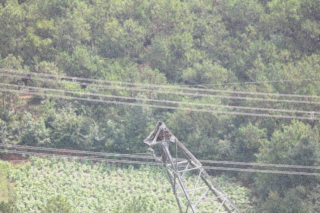 RT-DETR Classification Model by wu