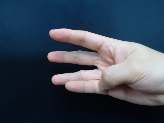 finger 1-1 Object Detection Model by BlackPad