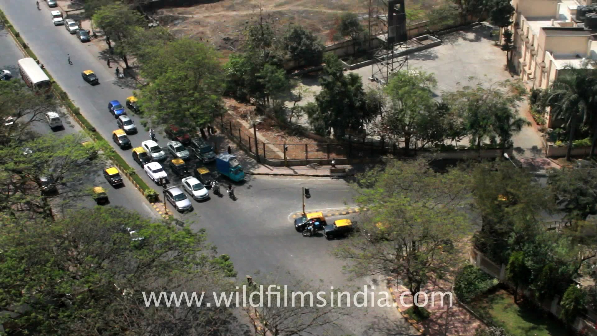 How to Use the car dettection Object Detection API