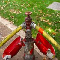 Study Task - Roboflow Universe