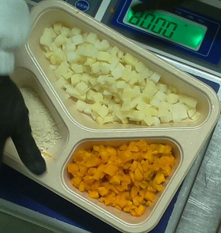 Food-Recognition-v1 Instance Segmentation Dataset by Planeat