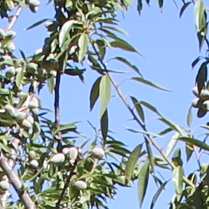 dddd Object Detection Dataset by bingolcem097@gmail.com