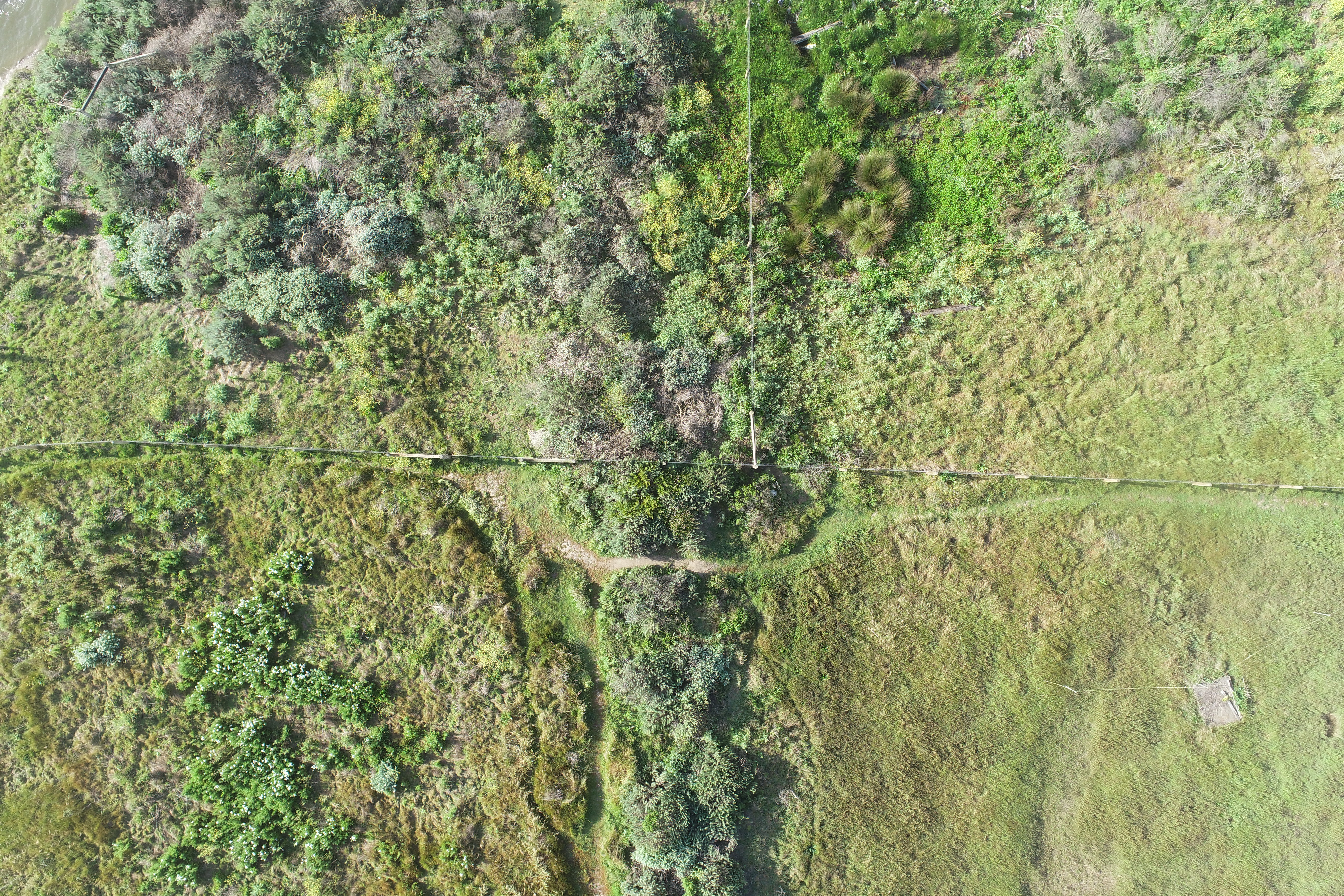 Seal Spotting Object Detection Model by Seal Spotting