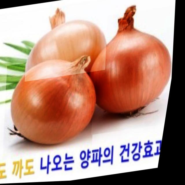 onion Object Detection Dataset by recipe2