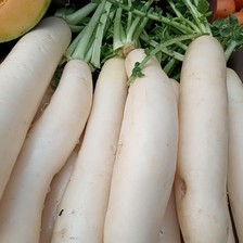 radish Object Detection Dataset by recipe2