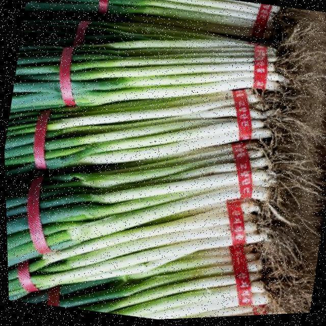 scallion Object Detection Dataset by recipe2