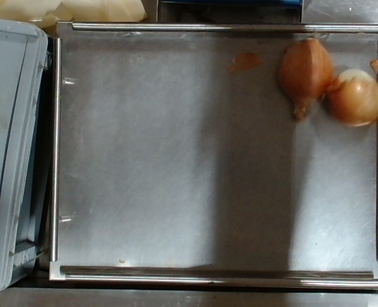 FaV Object Detection Dataset by cupi