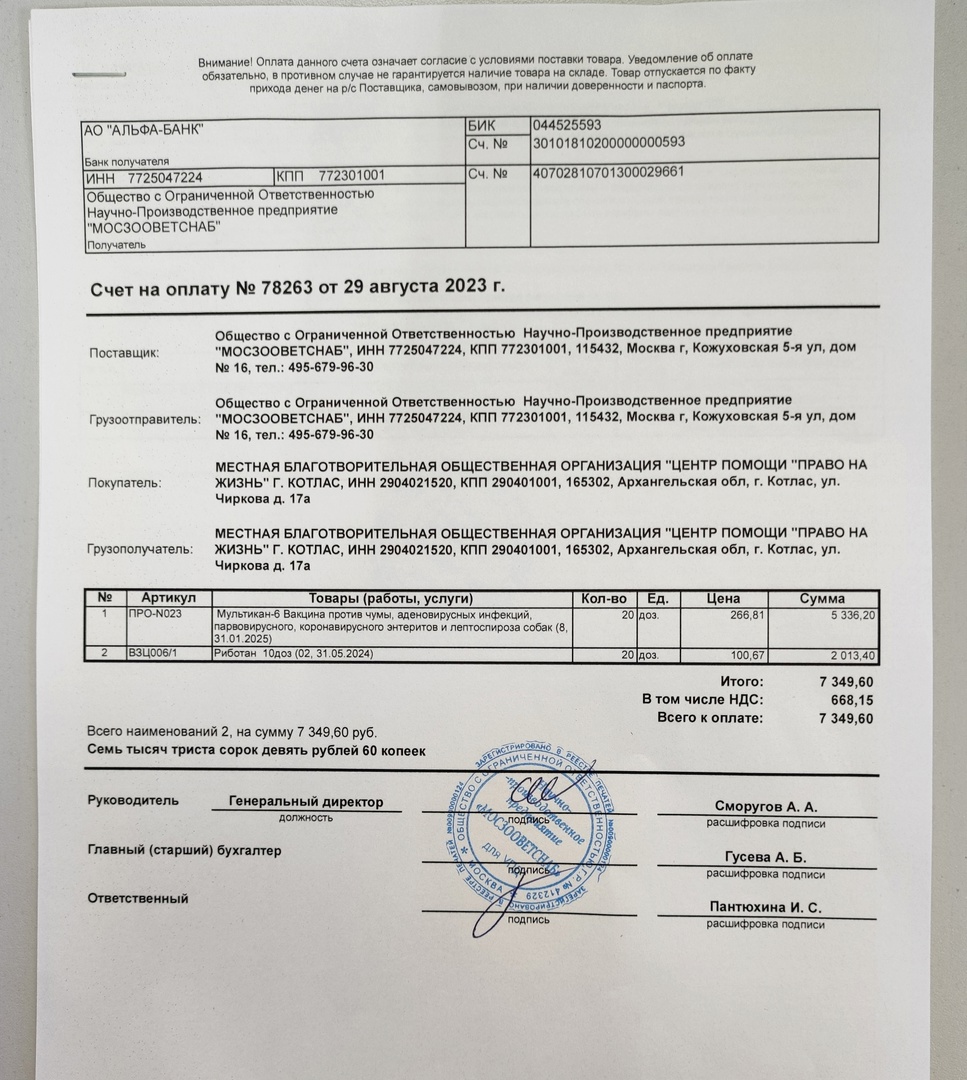 Top Summa Datasets and Models | Roboflow Universe