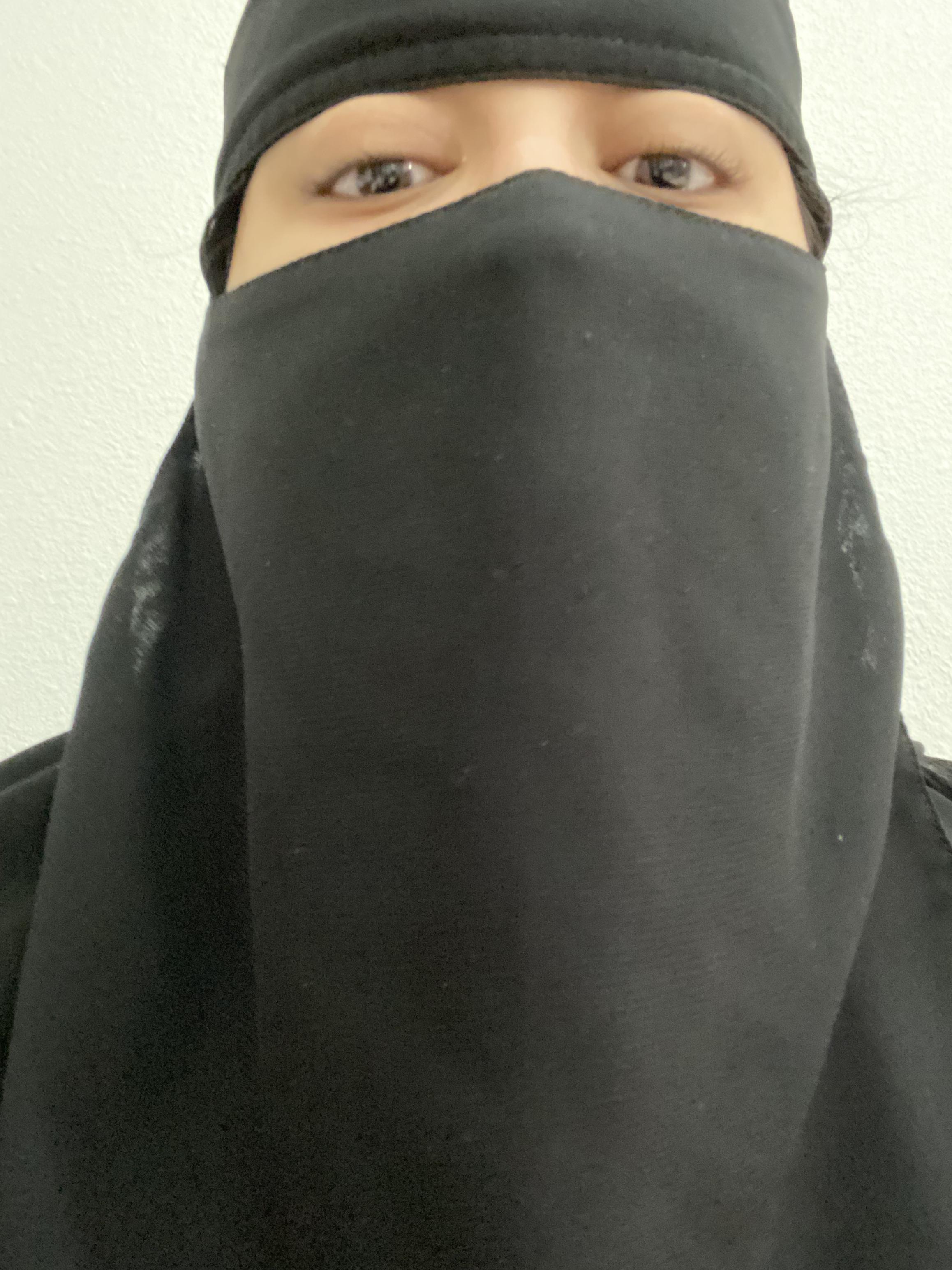 Exp2_neqab_val Object Detection Dataset by Face mask detection