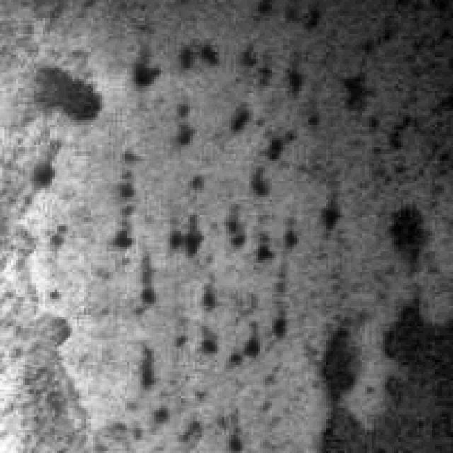 Steel Surface Defects Object Detection Dataset By Christine99