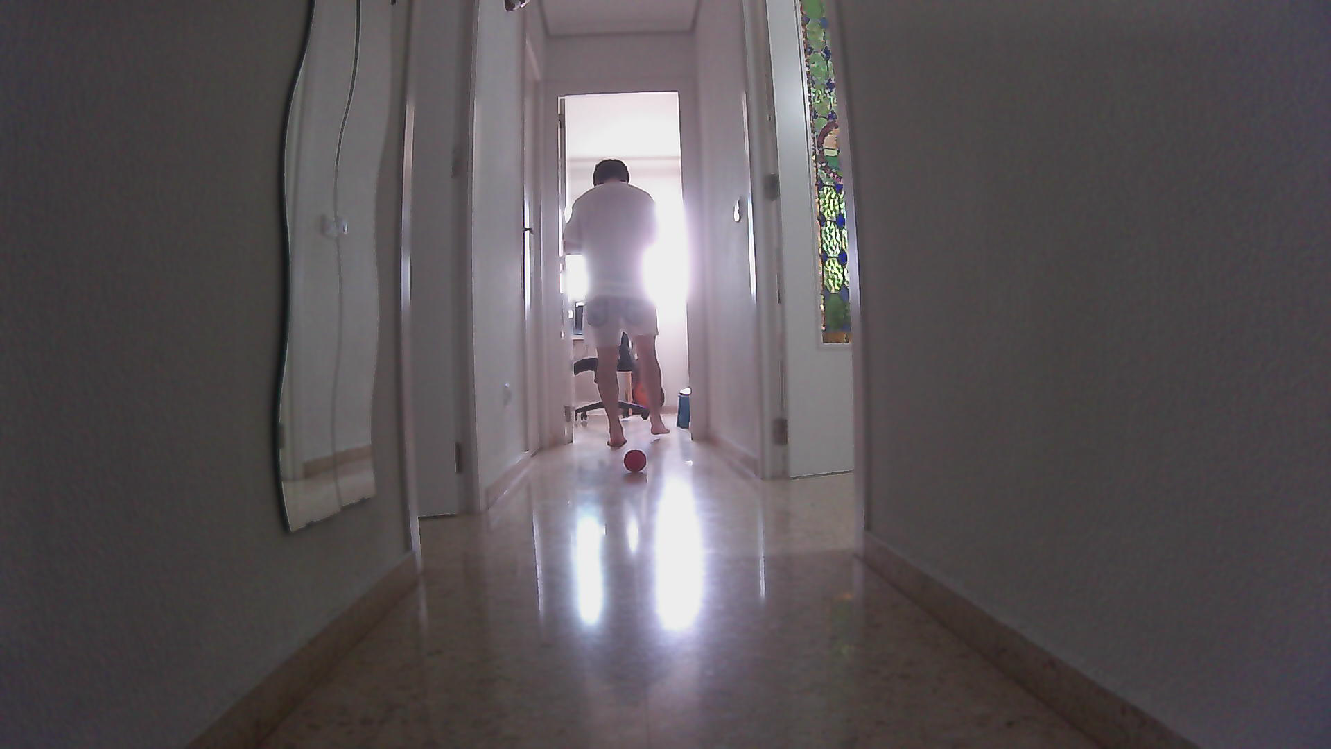 red ball Object Detection Model by pollon