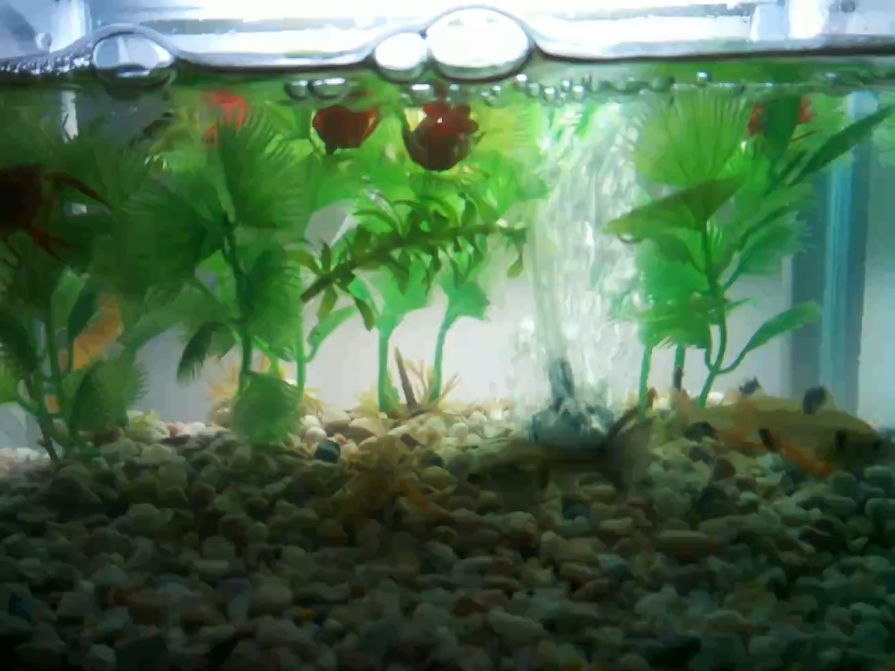 doan (doan-i0kip) - Roboflow Universe