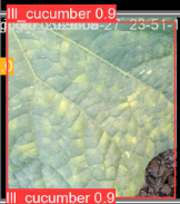 cucumber-diseases_proj Object Detection Dataset and Pre-Trained Model by apple dataset