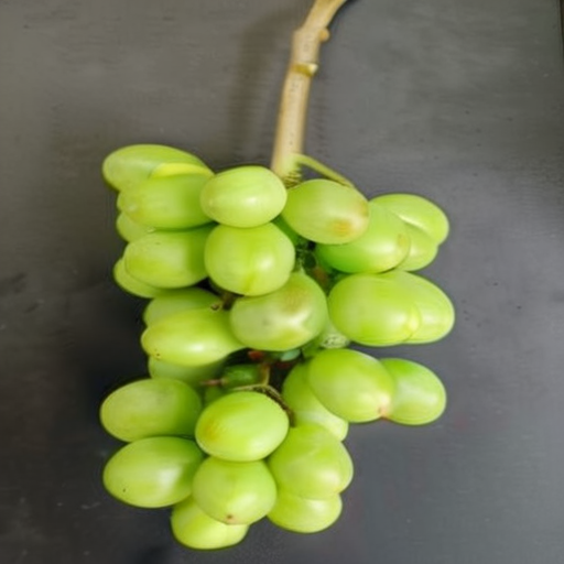 Fruit Dataset Object Detection Dataset By Anu