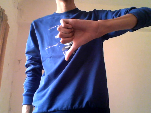 yolo-gestures Object Detection Dataset by YOLO