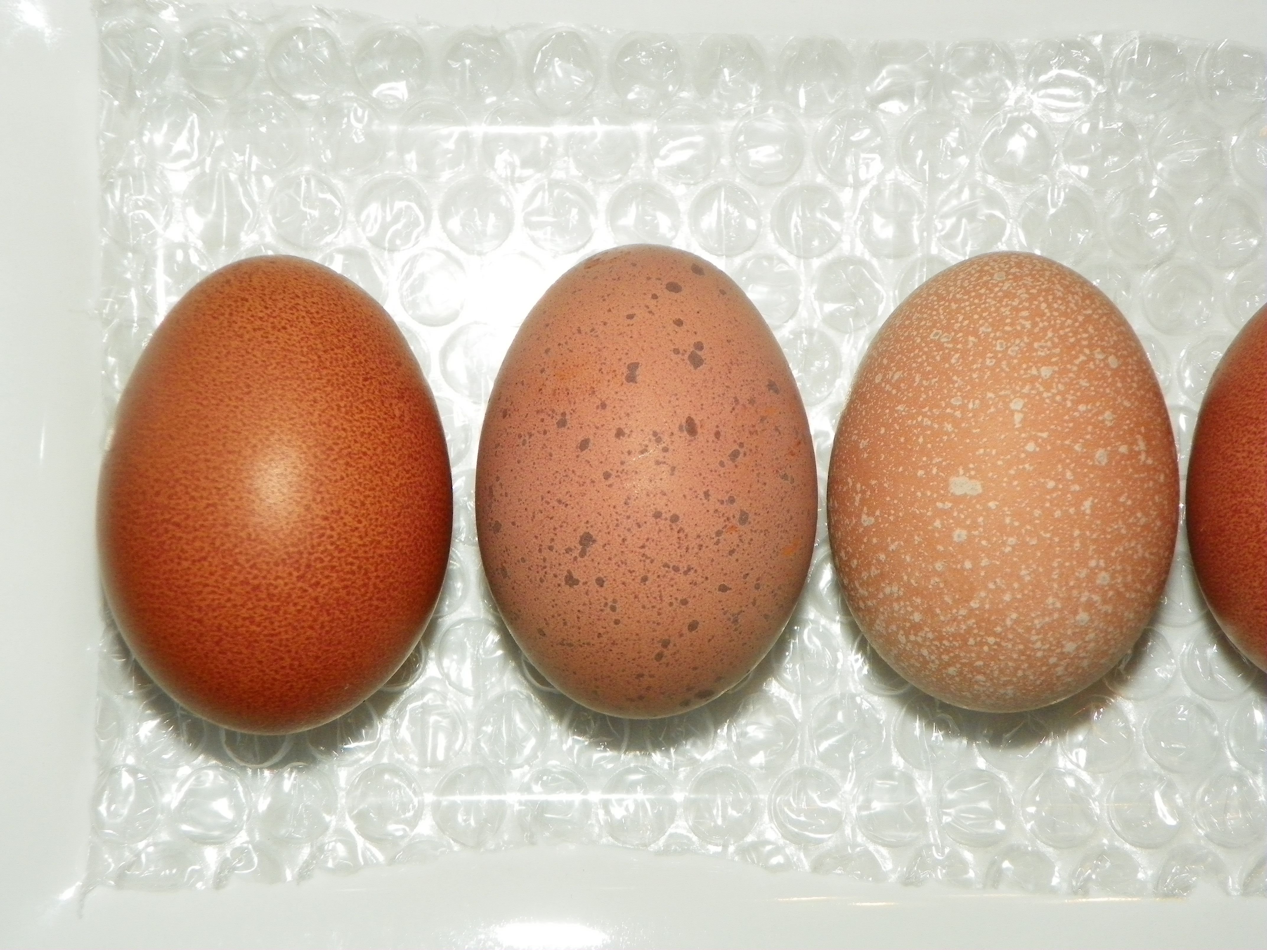 Egg Segmentation in Poultry Industry Based on Color Object Detection Model by Data science
