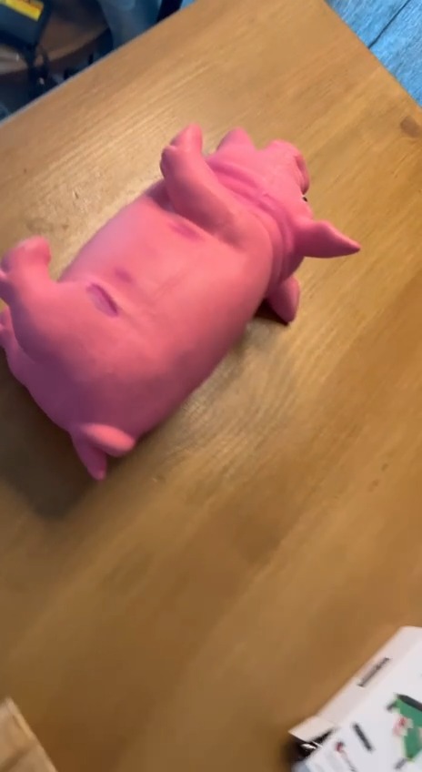 Hailo_pig Object Detection Model by munedtyh