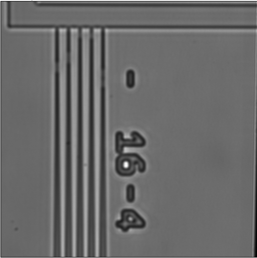 Bacteria Object Detection Model by BacteriaDetection