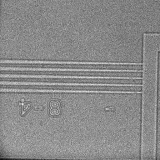 StaphDetection Object Detection Dataset by BacteriaDetection