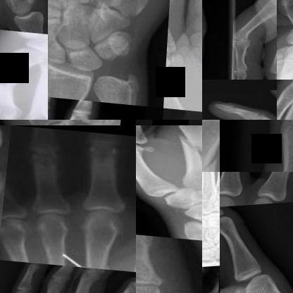 one Object Detection Model by project