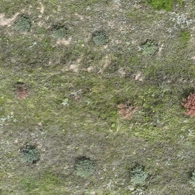 sao Object Detection Dataset by wi lng