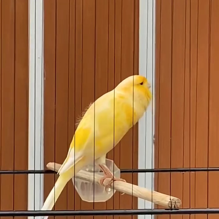 project123 (project123-mlm4h) - Roboflow Universe