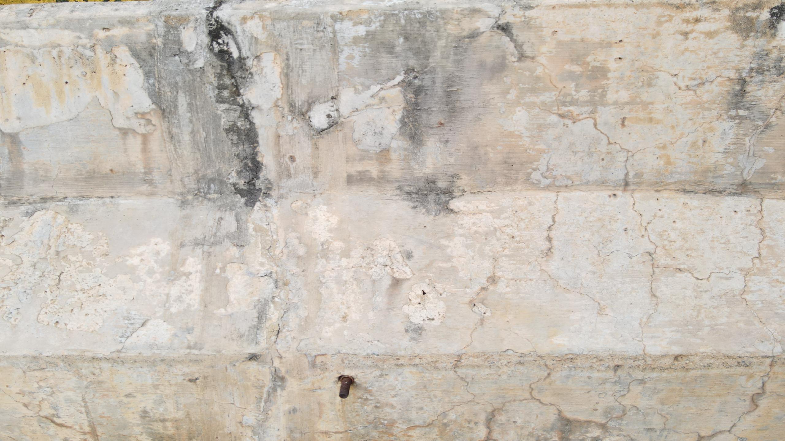 Efflorescence Instance Segmentation Model by Efflorescence