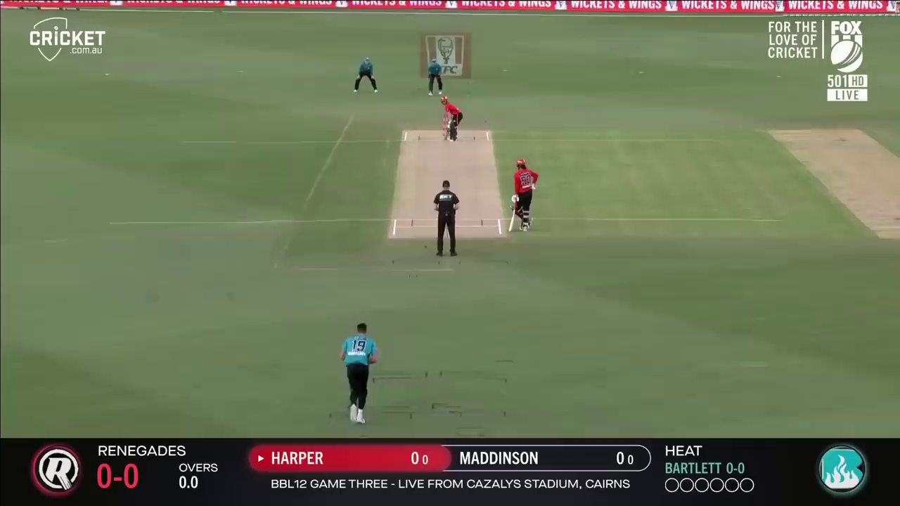 Batsmandetection Object Detection Dataset By Batsman