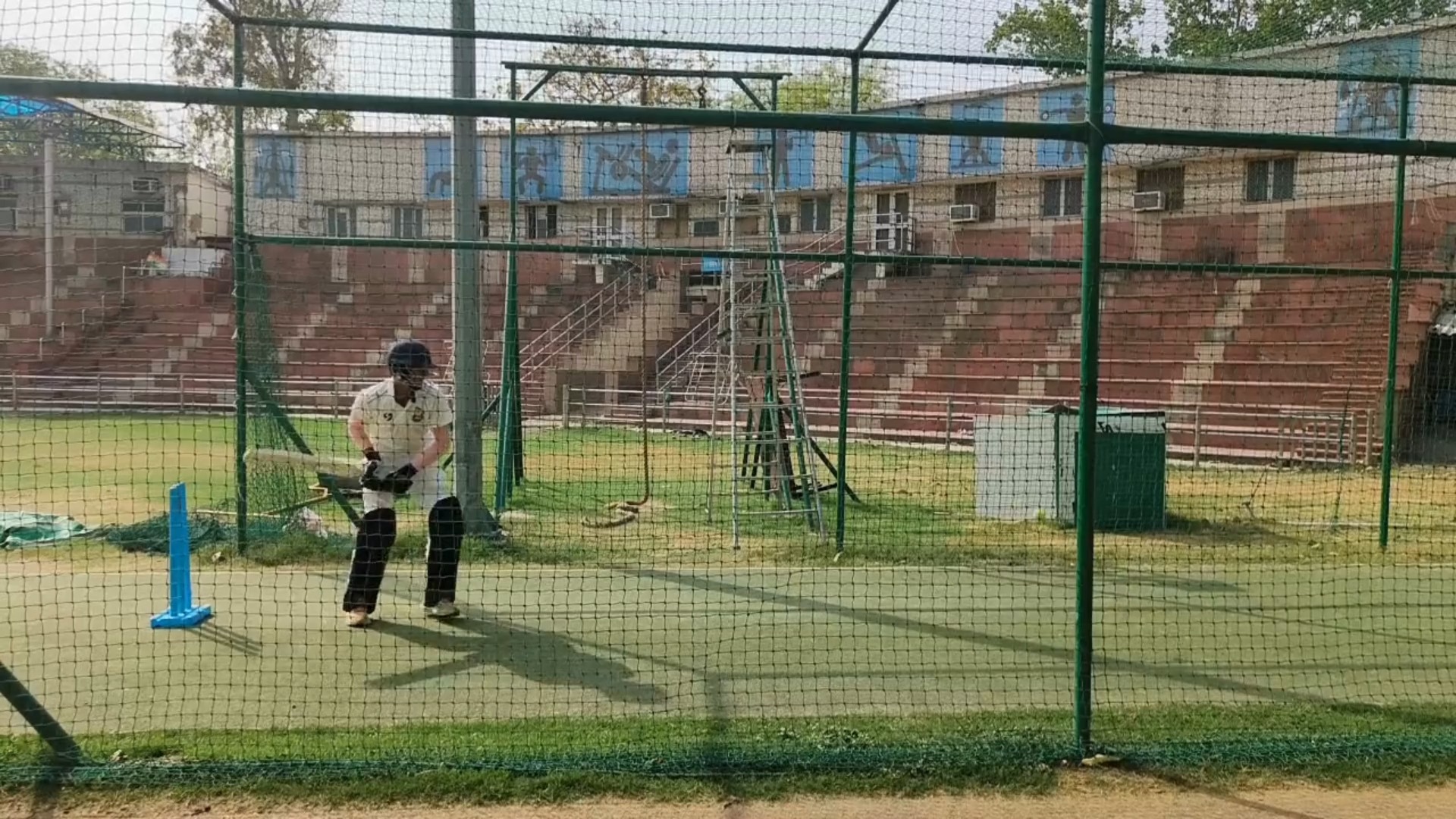 Bat Detection Side View Keypoint Detection Dataset By Bat Detection Side View