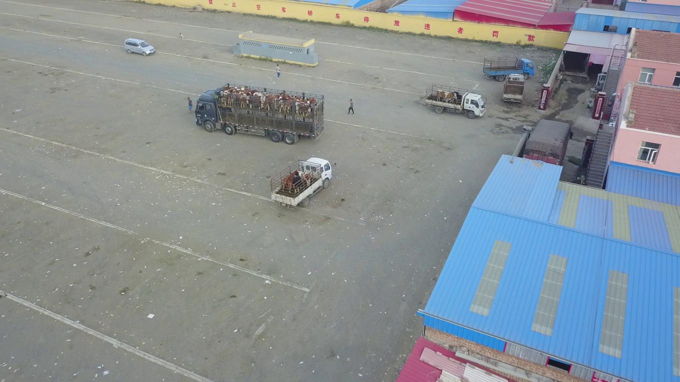 Bbb Hack Object Detection Dataset And Pre Trained Model By Myws