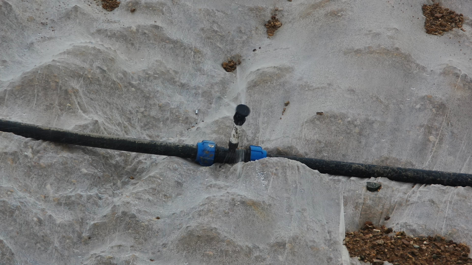 w3 Classification Dataset and Pre-Trained Model by G