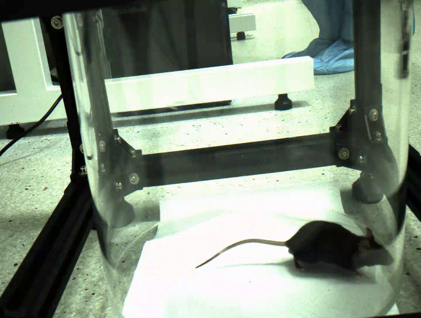 NEDLAB - Roboflow Universe