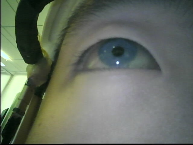 Eye Tracker Pupil Seg Instance Segmentation Dataset By Nedlab