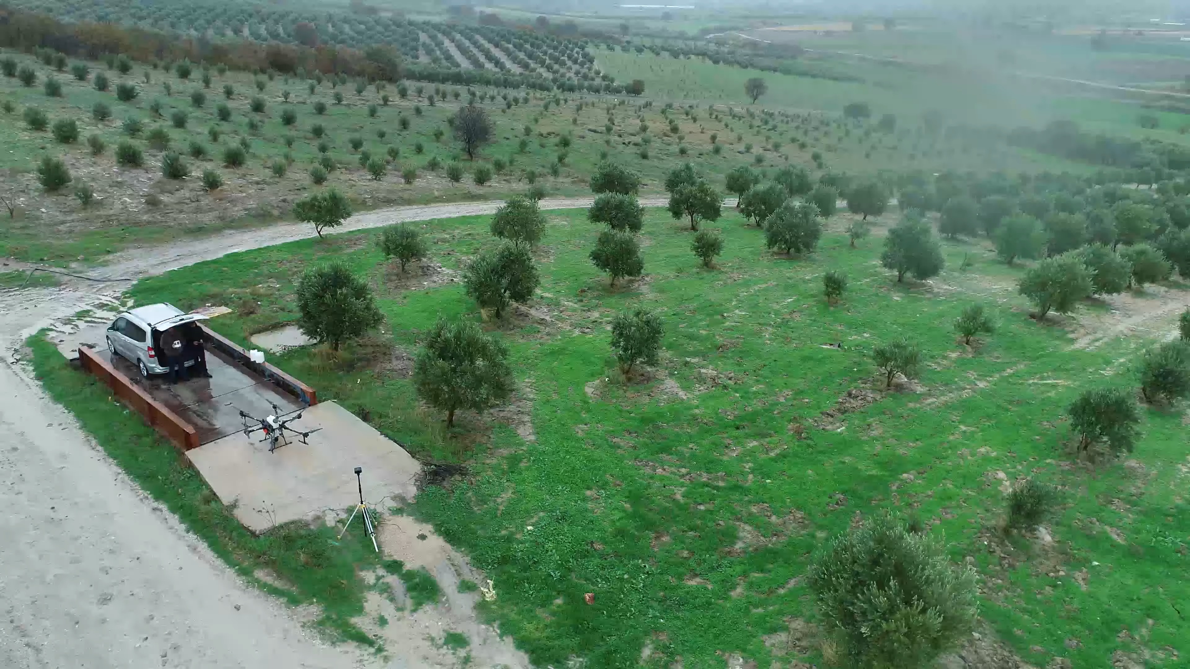 Tree Detecs Object Detection Dataset By Iha