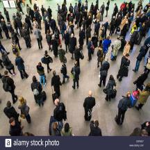 crowd_images Object Detection Dataset by Pelicane