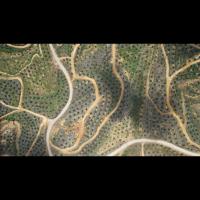 Trending Computer Vision Datasets - Roboflow Universe