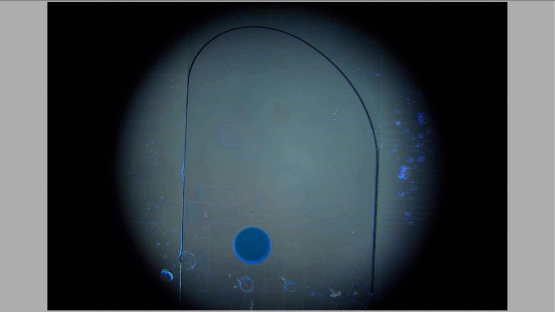 Multidroplets detection Object Detection Dataset by Ecust