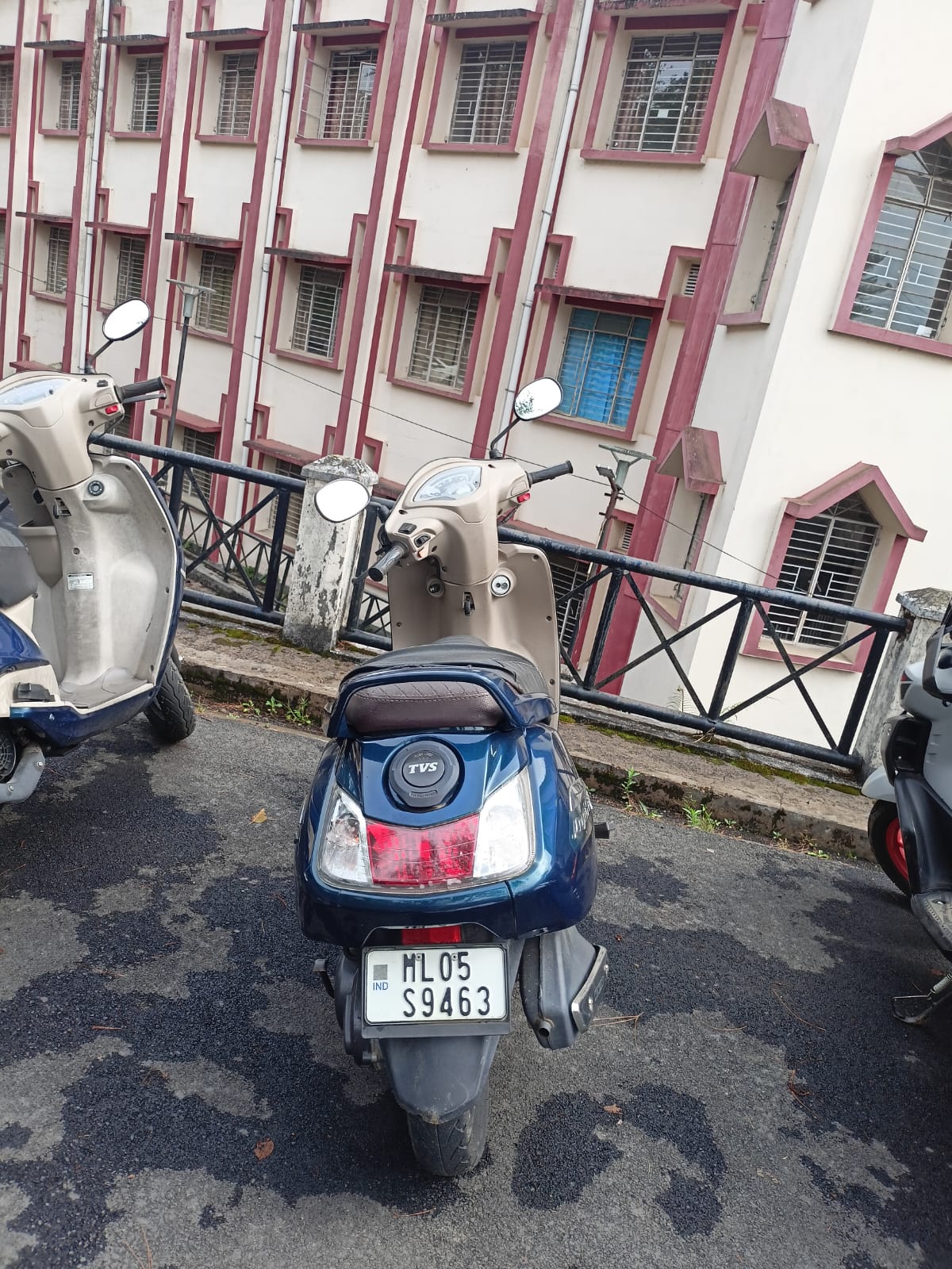 Number plate detection Object Detection Dataset and Pre-Trained Model by project