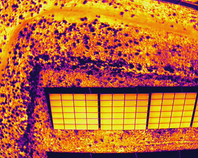 Solar Pannel Detection Semantic Segmentation Dataset By Akash Das