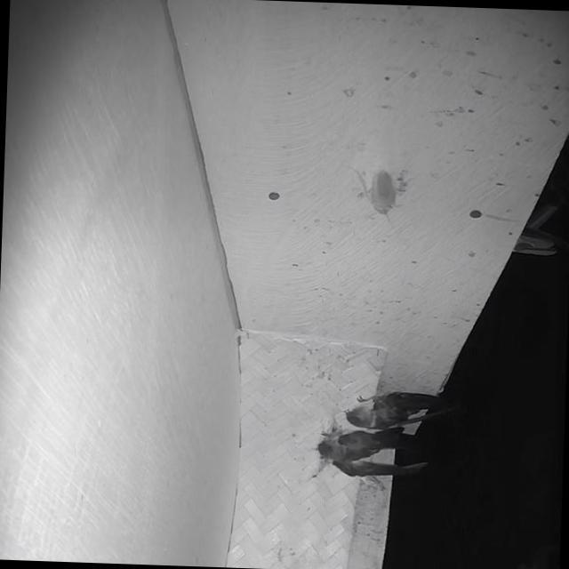 phan biet yen va dan Object Detection Dataset by linh