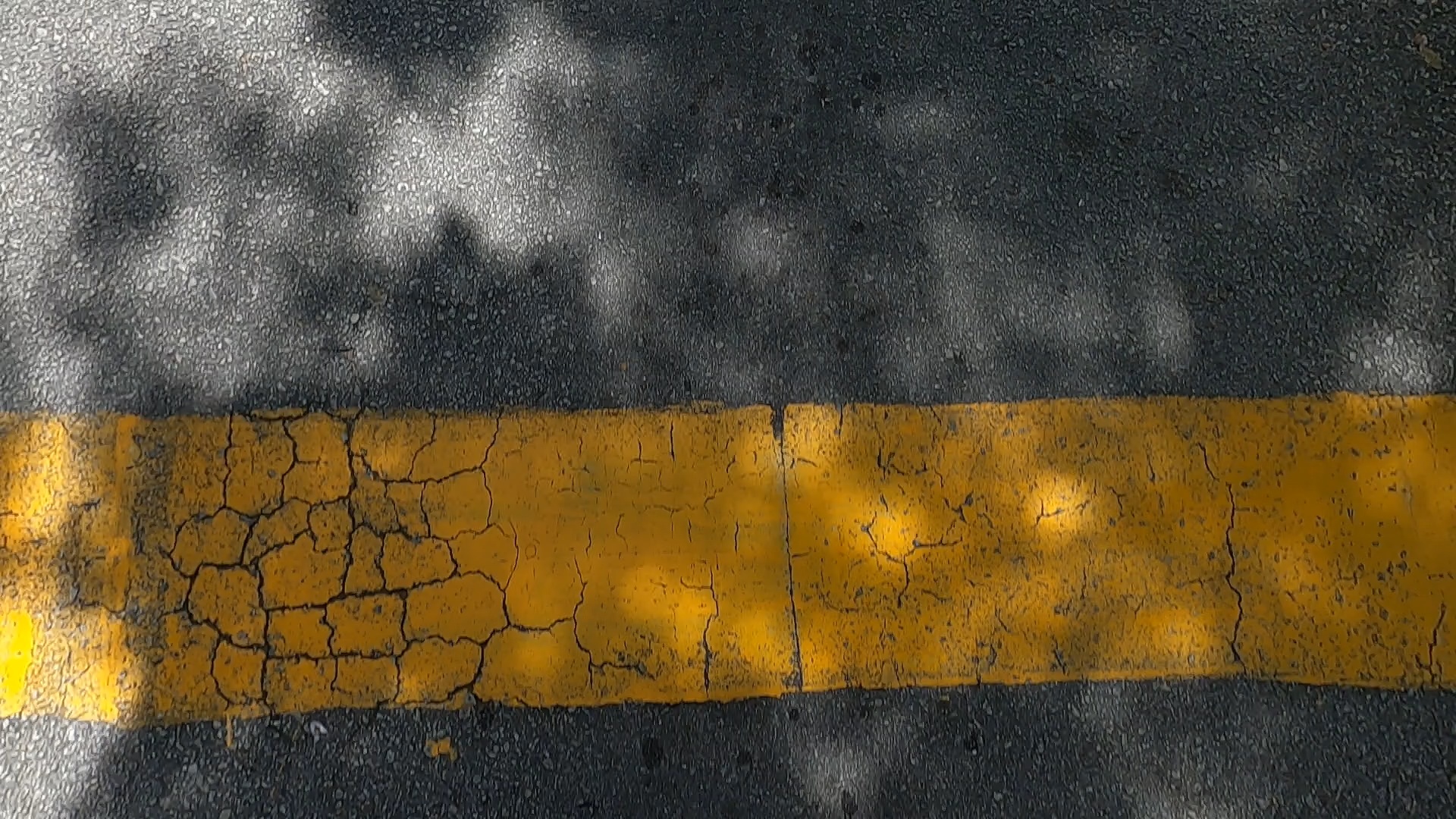 Najiha Alya Object Detection Dataset By Iium