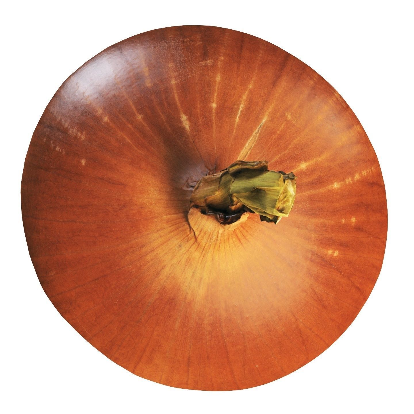 vegetable Object Detection Dataset by school